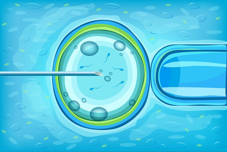 Scientific Animation: Everything You Should Know In 2026