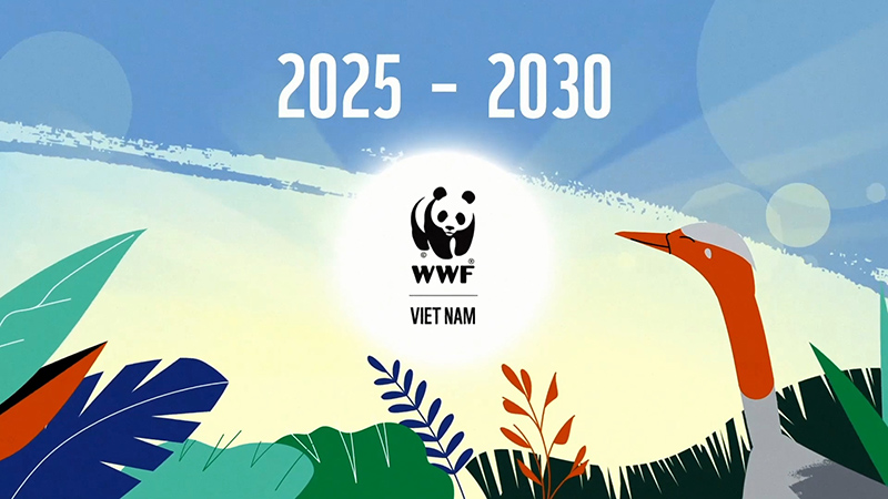 Top 10 NGO Animated Videos With Powerful Emotional Impact